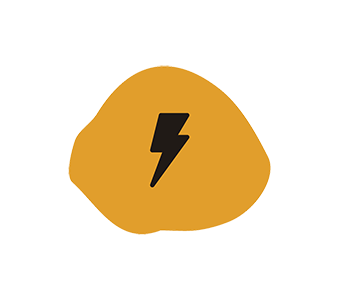 Bee The One Pollen - Products based on 100% natural bee pollen